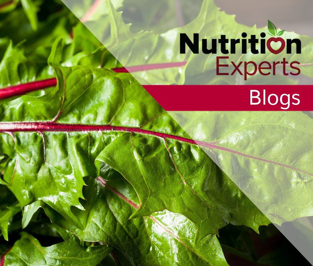 Dandelion Greens: An Urban Delicacy | Magaram Center Nutrition Experts Blog